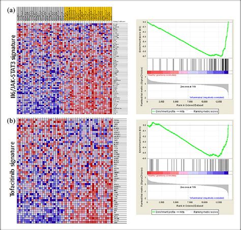 Figure 1 From The Jak Stat Pathway Is Activated In Systemic Sclerosis And Is Effectively