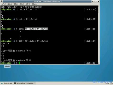 Linux操作9 comm diff patch 蓝桥云课