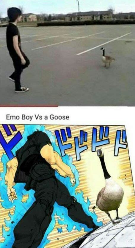 10 Dank Anime Memes Fwdmy