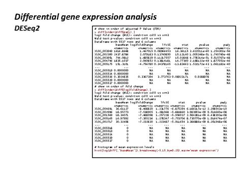 Differential Gene Expression Analysis Deseq 2 And Edge