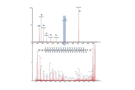 Developing A Novel Integrated Lc Ms Workflow For High Resolution Monitoring And