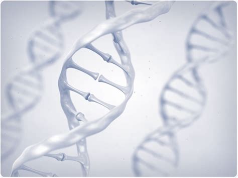What Is Dna Phenotyping