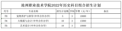 2022沧州职业技术学院中外合作办学学费多少钱一年 各专业收费标准
