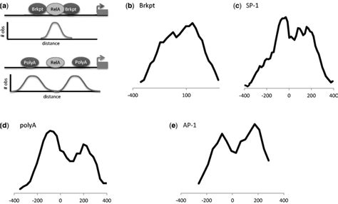 Intra Motif Distance Histograms A Schematic Diagram The Highest