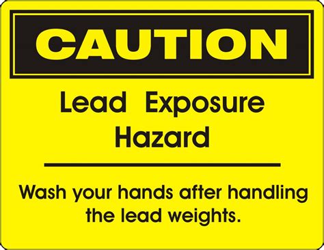 Lead Safety Precautions At Ralph Ray Blog