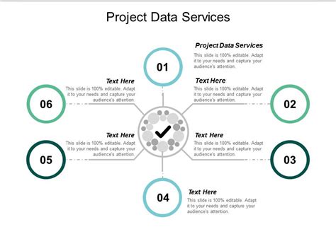 Project Data Services Ppt Powerpoint Presentation Layouts Example Cpb