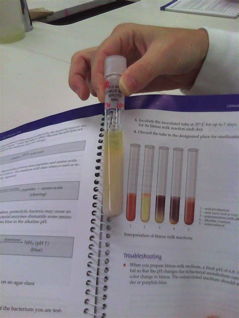 Microbiology Lab Lab 1025 Water Filtration Plant And Tests