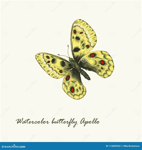 Butterfly Parnassius Beautiful Meadow And Forest Insect Polygons Vector