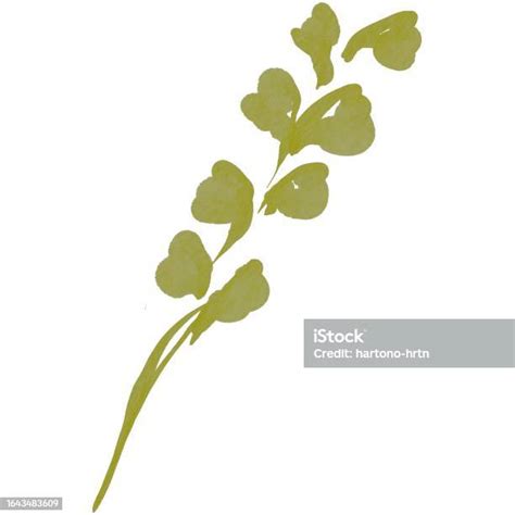 수채화 녹색 잎입니다 꽃을 테마로 한 수채화 그림 스타일 청첩장 미적 장식 소셜 미디어 게시물 배너 프로모션 광고 등에 적합합니다 0명에 대한 스톡 벡터 아트 및 기타