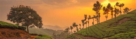 Skylo And Inmarsat Work Together To Enable Worlds First Commercial Narrowband Iot Over