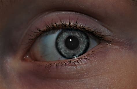 Free Images Person Spiral View Green Color Brown Eyebrow Mouth