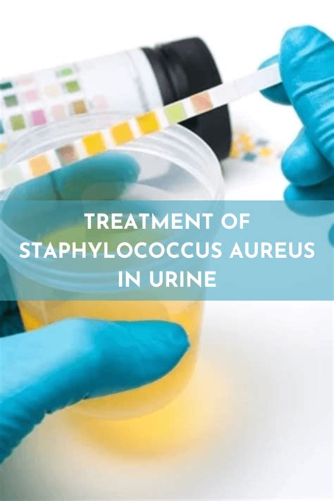 Treatment Of Staphylococcus Aureus In Urine