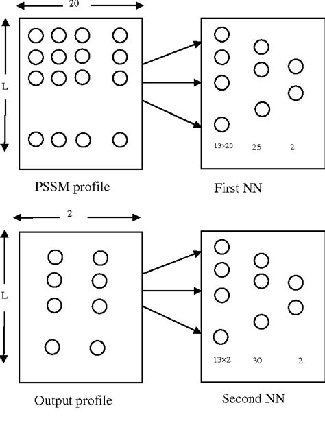 Figure 1 From Predicting The Secondary Structure Of Proteins By