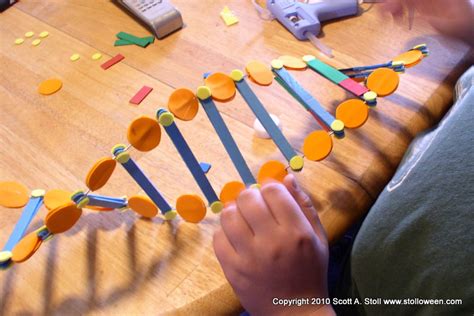 How To Make Dna Model With Paper