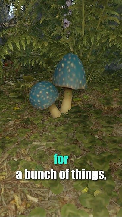 This Setting Makes Nighttime Tree Chopping Way Easier In Rust Rust Rustshorts Rusttips Youtube