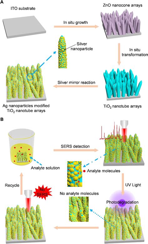 A Schematic For The Synthesis Of Ag Nanoparticles Modified Tio 2 Download Scientific Diagram