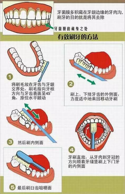 健康科普口腔基礎護理十大常識 每日頭條