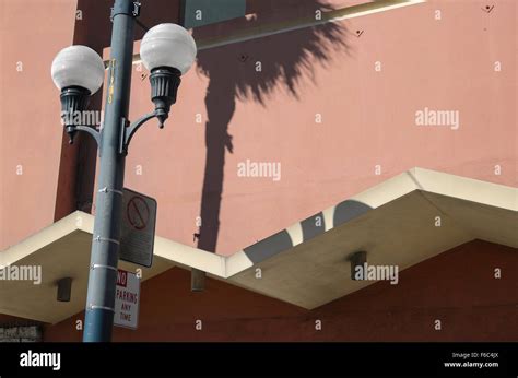 Palm Tree And Building Ocean Avenue Ingleside San Francisco