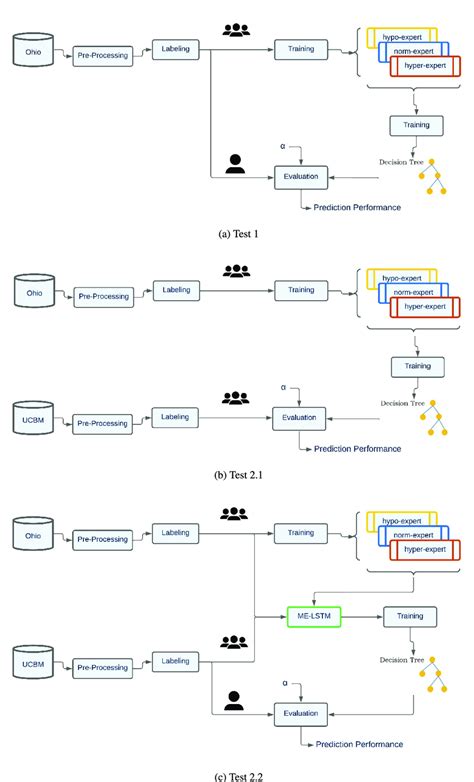 Schematic Representations Of The Experimental Tests Download Scientific Diagram