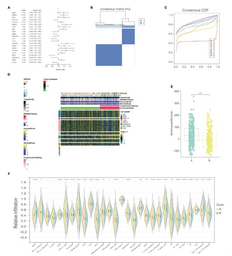 Selection Of Prognostic Related Pcd Related Genes Consensus Clustering Download Scientific