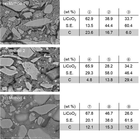 Cross Section Sem Images And Edx Point Analysis Of 9 Selected Areas Download Scientific Diagram