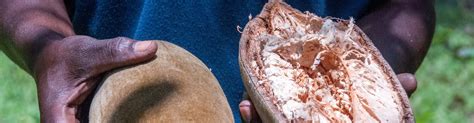 African Orphan Crops Consortium Healthy Africa Through Nutritious