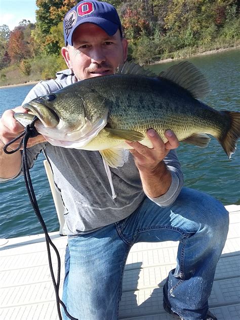 Giant Largemouth Bass