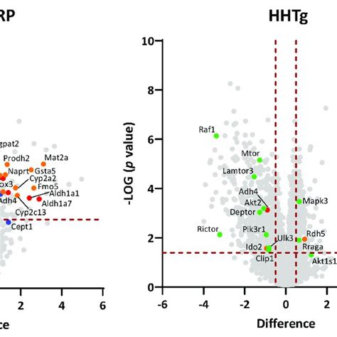 Proteomic Analysis Of Liver Samples Label Free Quantification Mass Download Scientific Diagram