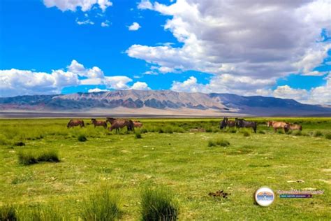 Говь Алтай Төгрөг