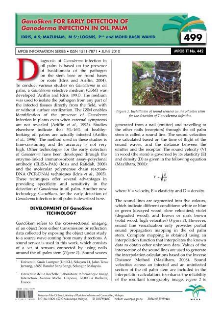 Ganosken For Early Detection Of Ganoderma Infection In Oil Palm