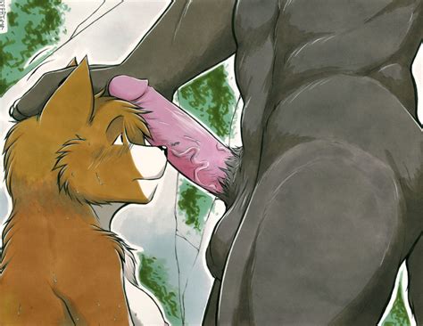 Rule 34 Corgi Female Furry Imminent Fellatio Imminent Oral Male Meesh