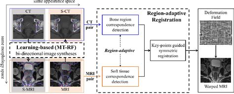 Figure 1 From Region Adaptive Deformable Registration Of Ct Mri Pelvic Images Via Learning Based