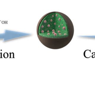 A D SEM Images Of SiO X B E SiO X C C F SiO X Download Scientific Diagram