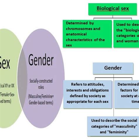 Biological Sex And Gender Download Scientific Diagram