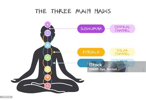 The Three Main Nadis Infographic Stock Illustration Download Image
