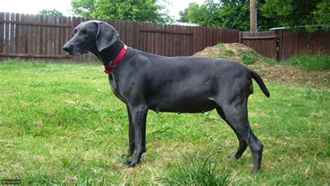 بالصور أشهر الخرافات في الثقافات المختلفة حول العالم