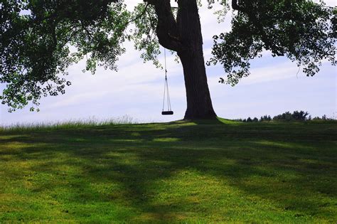 This Is What Spring Looks Like In Case Youve Forgotten