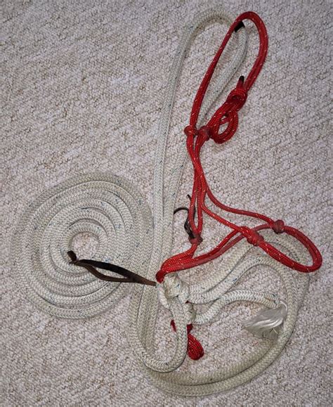 Original Parelli Hackamore Wb Gebraucht In Für Chf 59 Mit