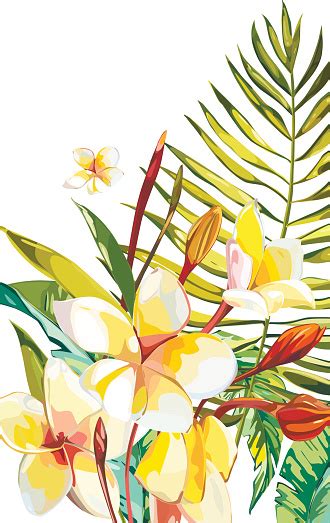 배너 포스터와 팜 잎 정글 잎 및 Plumeria 꽃 아름 다운 벡터 꽃 열 대 여름 배경입니다 Eps 10 그림 그리기에 대한 스톡 벡터 아트 및 기타 이미지 Istock