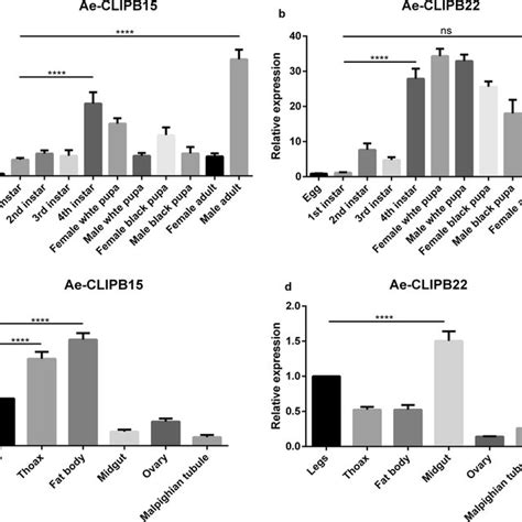 Regulation Of Protein Expression With Vectors Utilizing The T7 Download Scientific Diagram