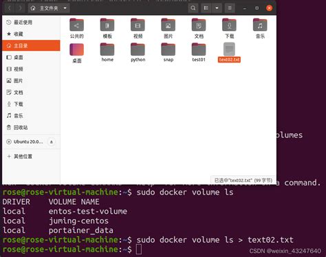 Docker与python脚本 Csdn博客