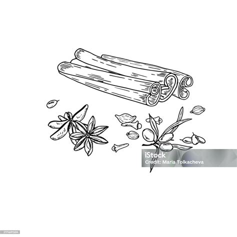 흑백 계피 스틱 바다 갈매 나무속 정향 스타 Anises 카 다몬 씨앗 에칭 그림 초대장 카드 광고 포스터의 디자인을 위한 손으로 그린 고립된 그림 0명에 대한 스톡 벡터
