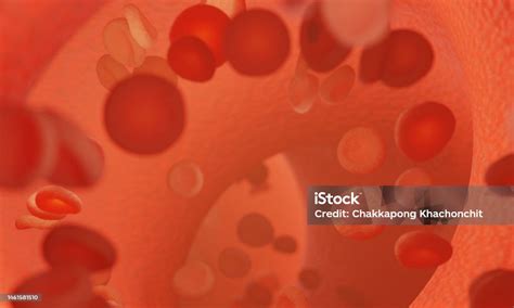 혈류의 적혈구 의학 및 생물학 과학 연구 정맥 또는 동맥의 적혈구 살아있는 유기체 내부 내부 흐름보이는 마이크로 3d 렌더링 그림 3차원 형태에 대한 스톡 사진 및 기타