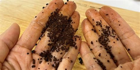 손에 커피 가루를 발라 보세요 강력한 효과에 모두가 놀랍니다 텐꿀팁