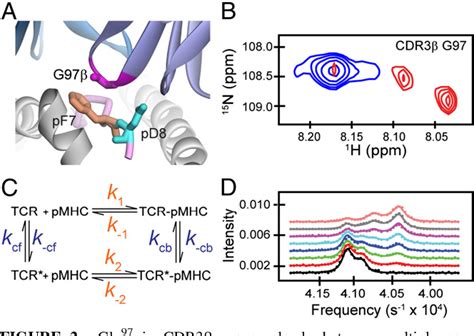 Figure 2 From Tcr Scanning Of Peptide Mhc Through Complementary Matching Of Receptor And Ligand