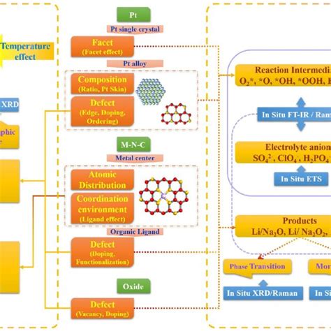 Overview Diagram Of Various Direct And Indirect In Situ Download