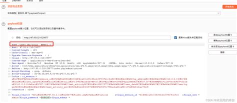 春秋云镜cve 2022 25411 csdn博客