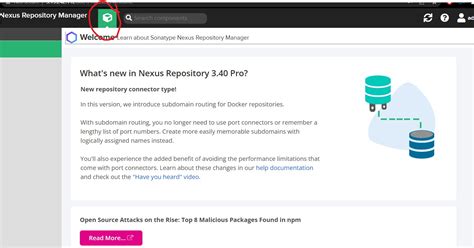 Whats Wrong With My Script No Admin Access Sonatype Nexus Repository Sonatype Community