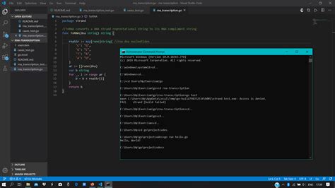Access Denied BUILD FAILED Issue Exercism Go GitHub