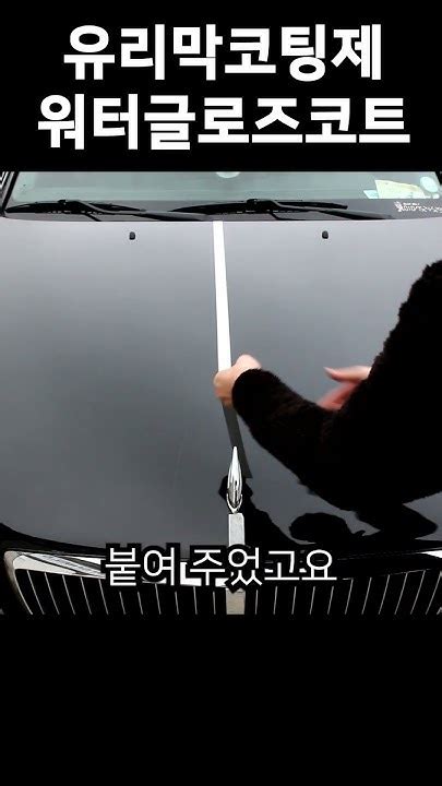 세차용품 추천 물왁스 유리막코팅제 워터글로즈코트 사용 전 Ipa탈지제 효과있을까 세차용품 세차 셀프세차 물왁스추천